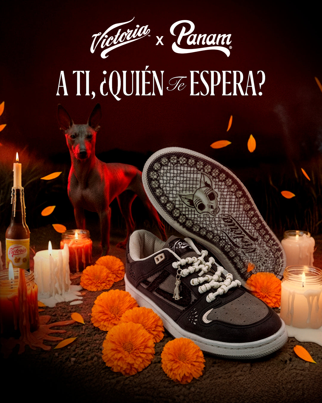 Tenis Día de Muertos Coyote Victoria Xolo – TIENDA PANAM
