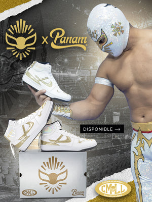 Marca 100% Mexicana de Tenis Urbanos – TIENDA PANAM