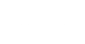 Tenis Colaboración Dr. Simi x Panam – TIENDA PANAM